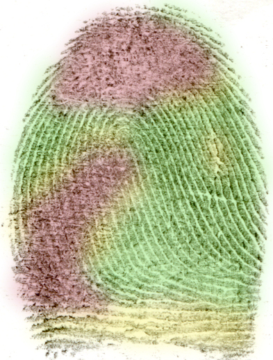 Fingerprint Annotation Systems - SSTForensics Fingerprint Annotation Systems - SSTForensics