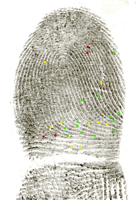 Fingerprint Annotation Systems - SSTForensics Fingerprint Annotation Systems - SSTForensics