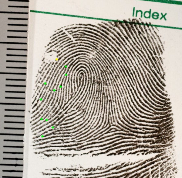 Live Scan Issues for Forensic Practitioners - Fingerprint Mechanics ...